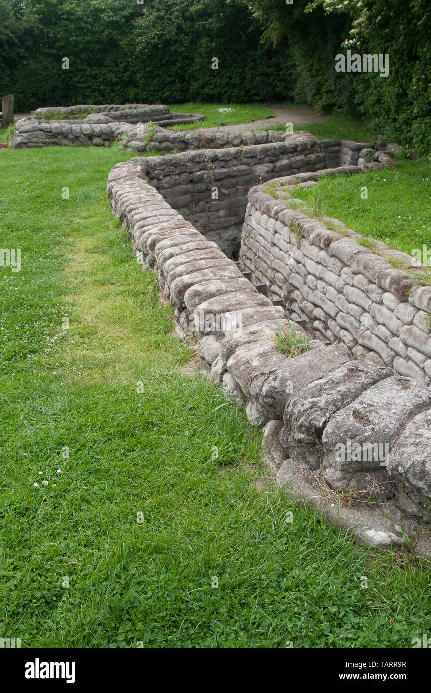 Yorkshire Trench and Dugout Ypres Ieper Belgium Stock Photo - Alamy