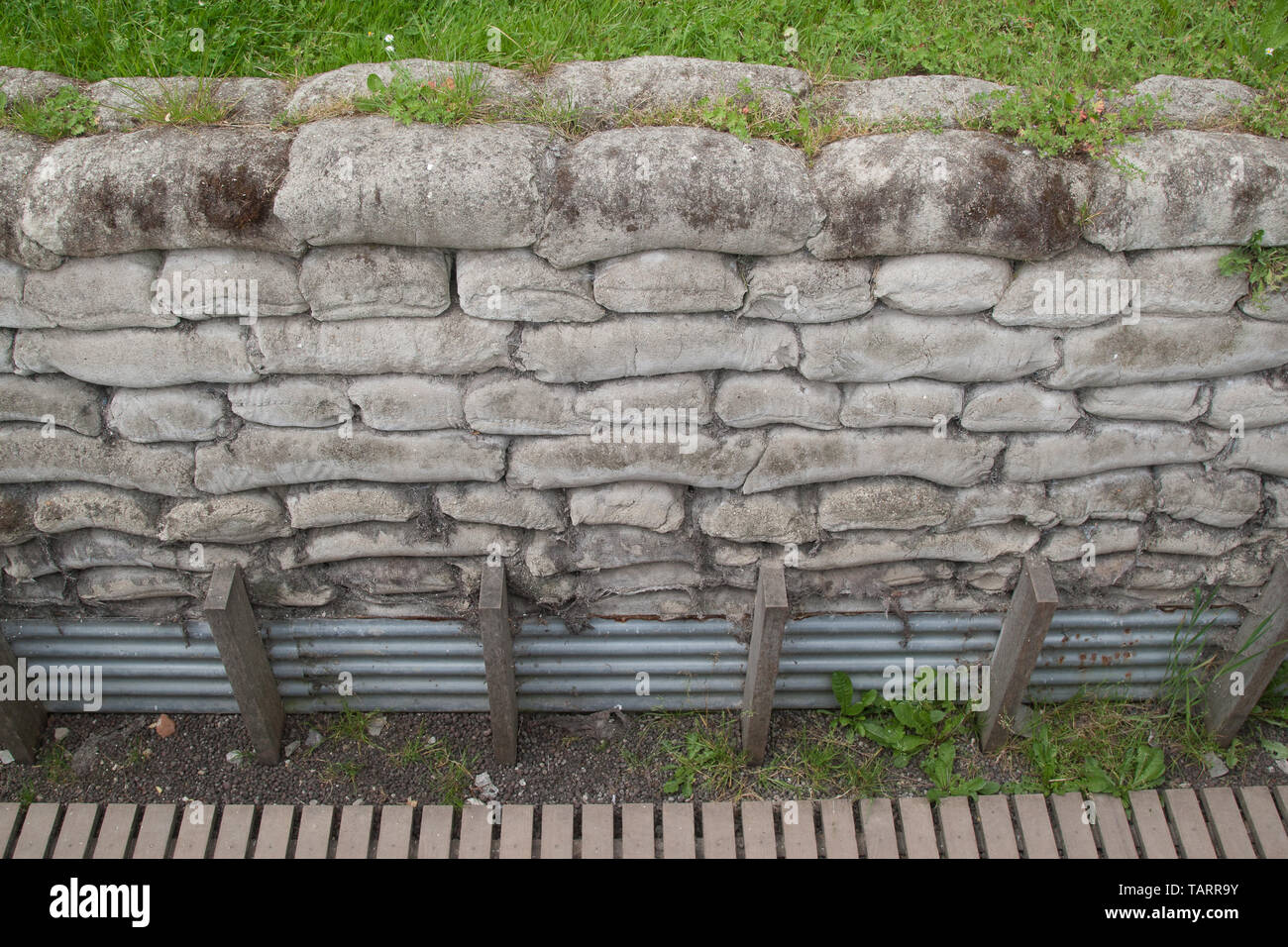 Yorkshire Trench and Dugout Ypres Ieper Belgium Stock Photo - Alamy