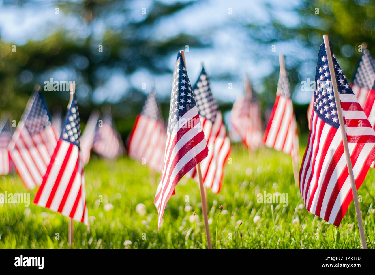 July 4th celebration texas hi-res stock photography and images - Alamy