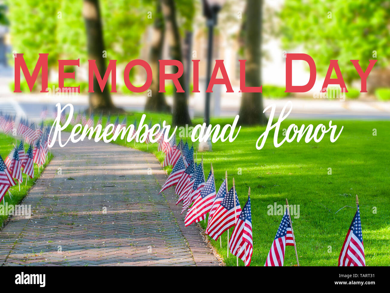 Memorial Day tribute. American flags spread on lawn of public park as ...
