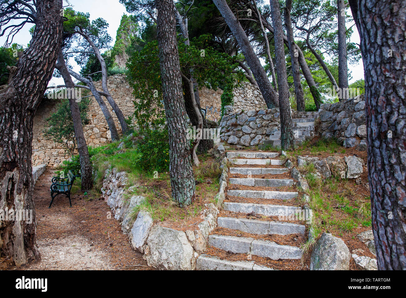 Beautiful paths of the Gradac Park in Dubrovnik Stock Photo - Alamy