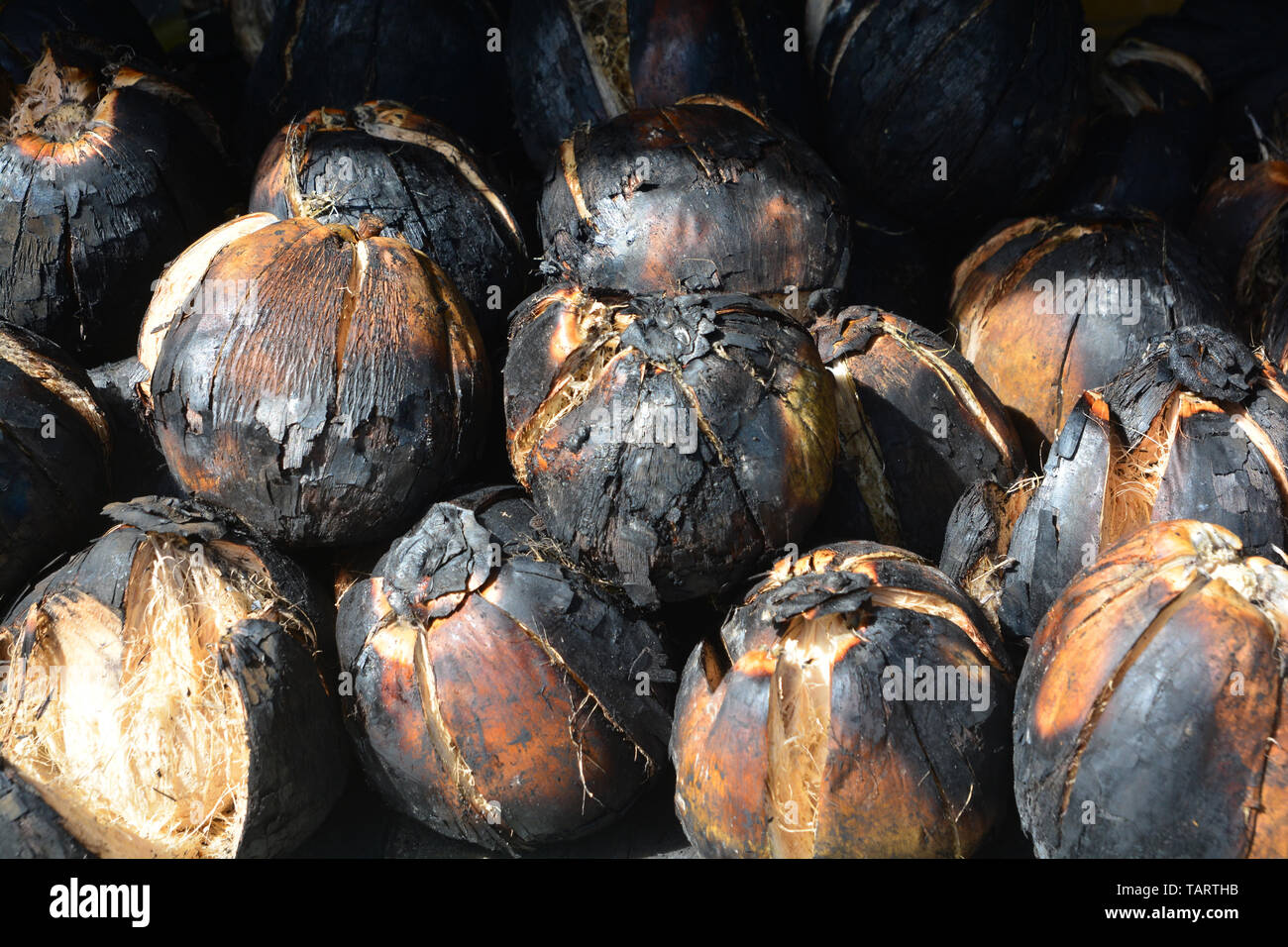 roasted coconut, Coconut burn Stock Photo - Alamy