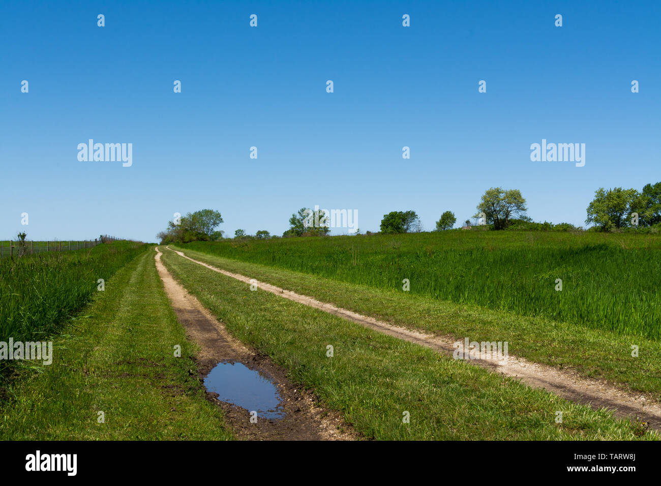 Dirt road through Midewin National Tallgrass Prairie on a beautiful ...