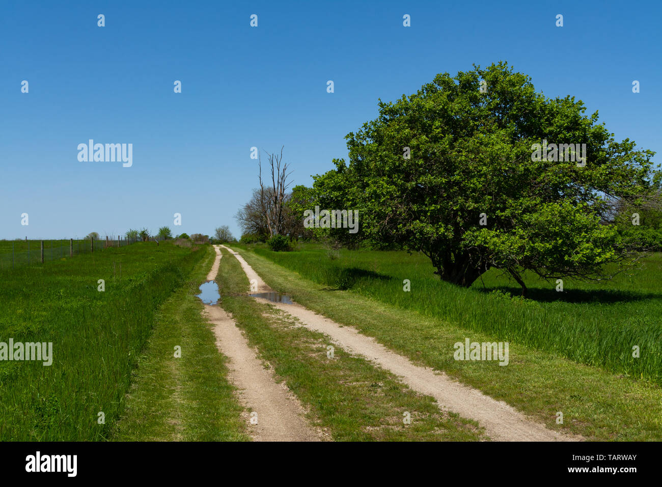 Dirt road through Midewin National Tallgrass Prairie on a beautiful ...