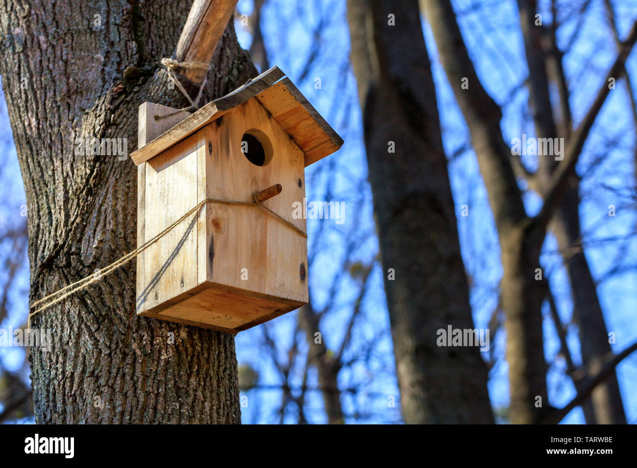Wooden new nesting box attached to a tree trunk with a rope in the park ...