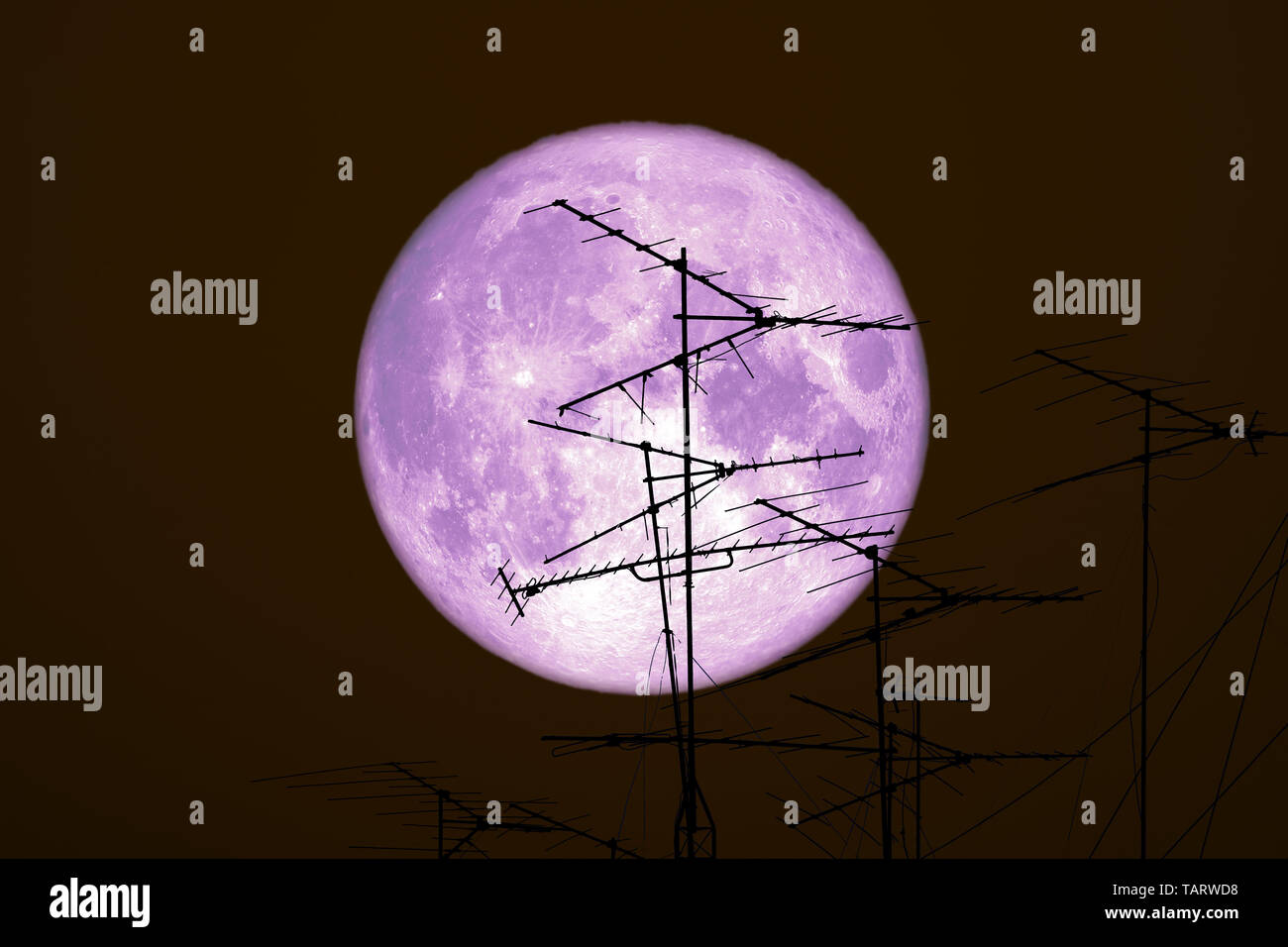 full crow moon back on silhouette atenna on night sky, Elements of this ...