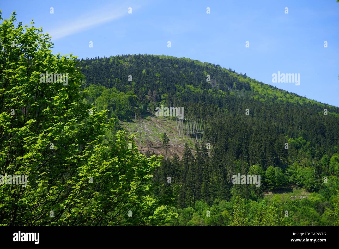 Surroundings hi-res stock photography and images - Alamy