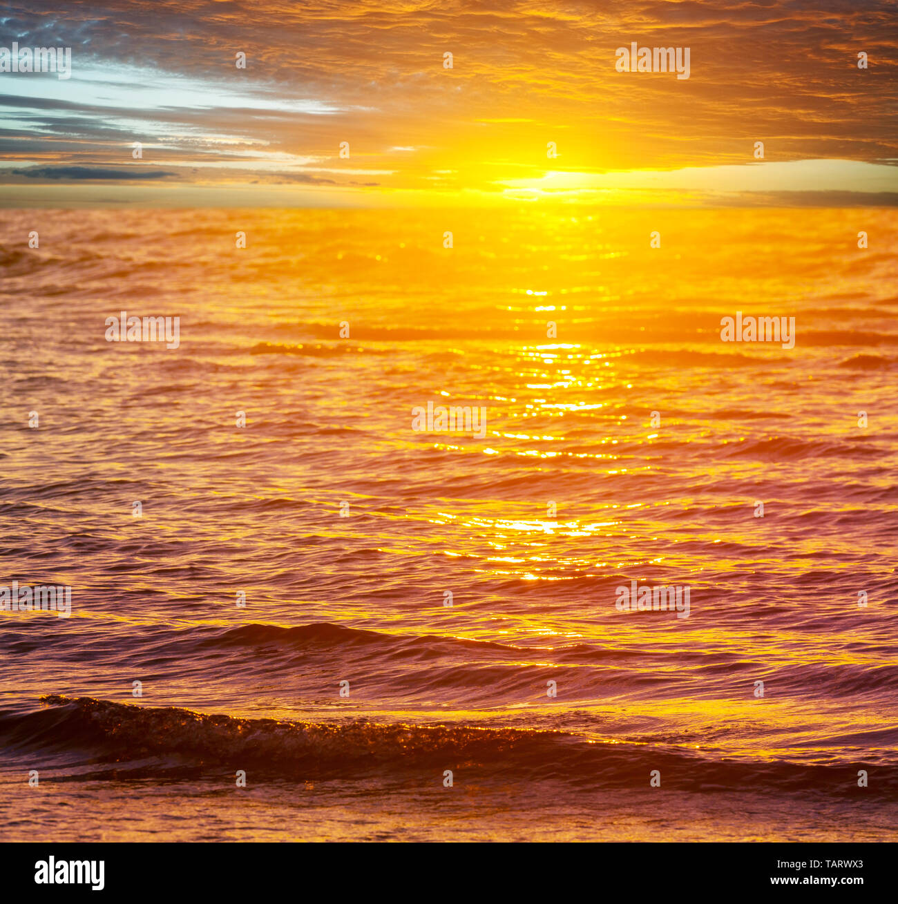 Scenic colorful sunset at the sea coast. Good for wallpaper or ...