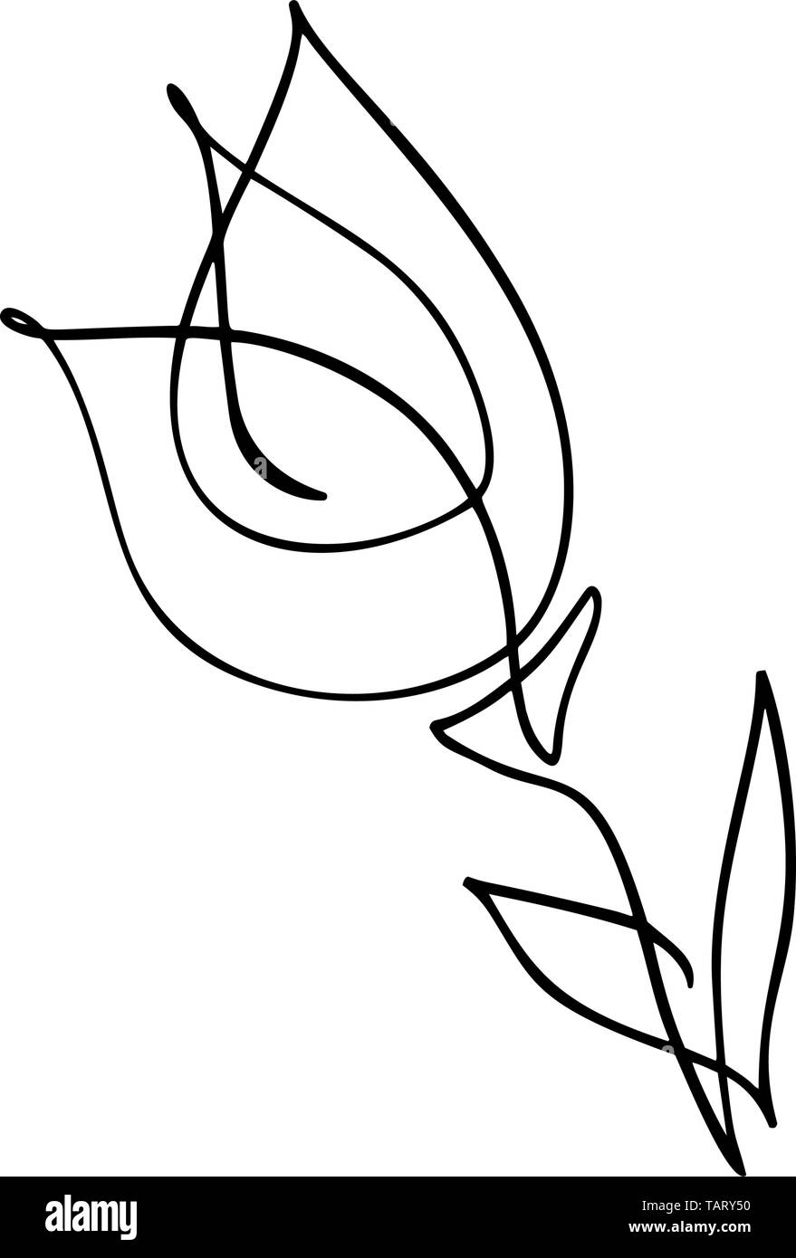 Tulip flower logo. Continuous line hand drawing calligraphic vector ...
