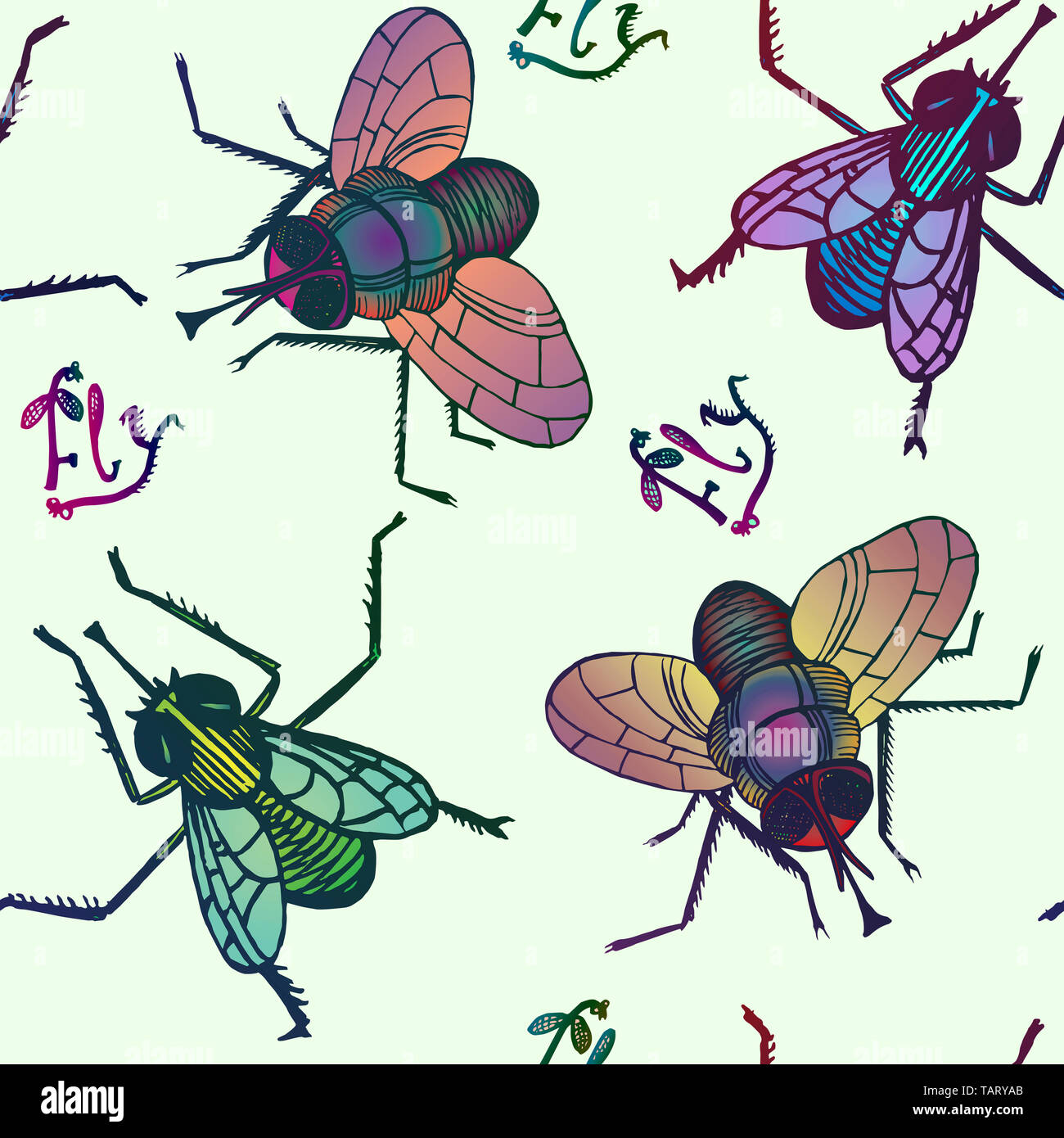 Cartoon character of fly with inscription, top view, hand drawn doodle ...