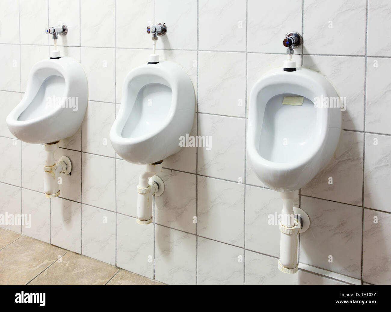Tree urinal in public toilet Stock Photo - Alamy