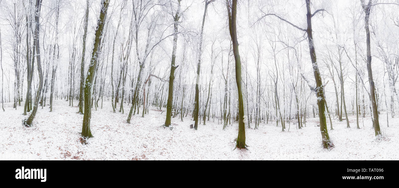 Sad scenery hi-res stock photography and images - Alamy