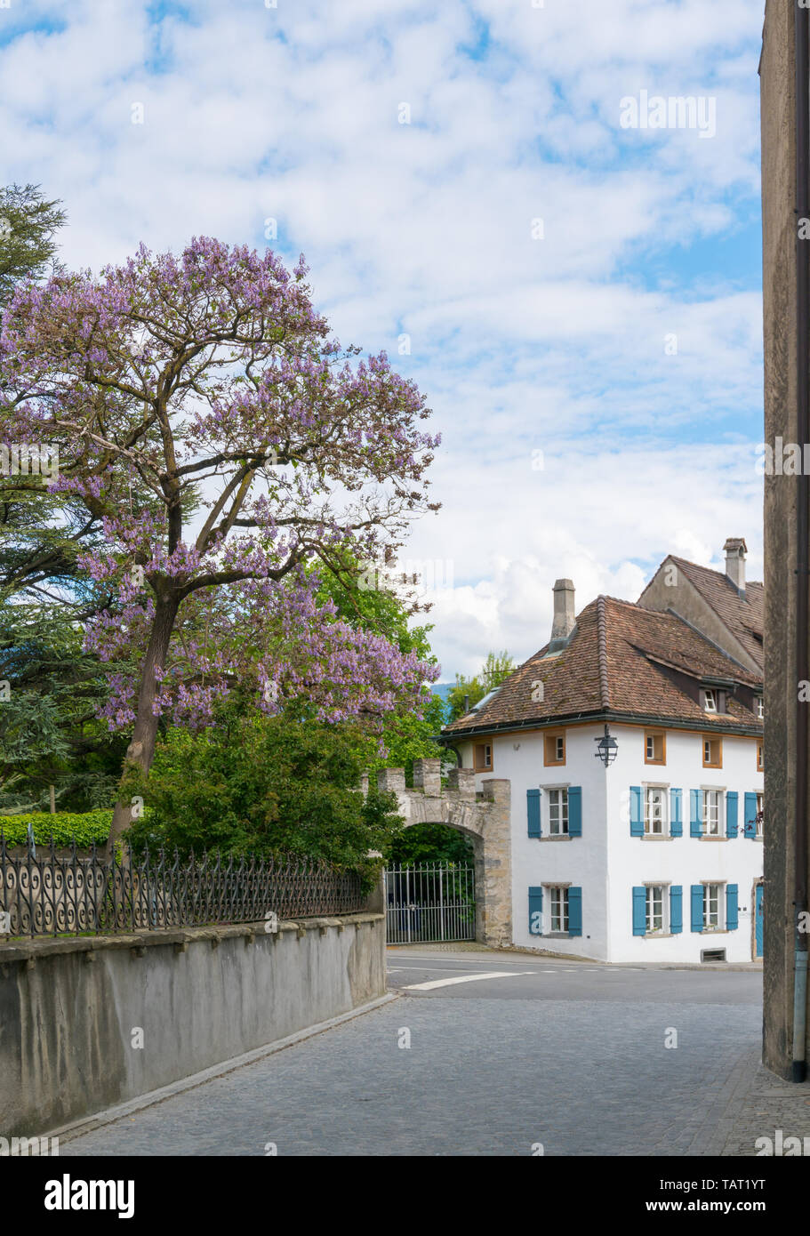 Maienfeld, GR / Switzerland - 27 May 2019: cobblestone street leading ...