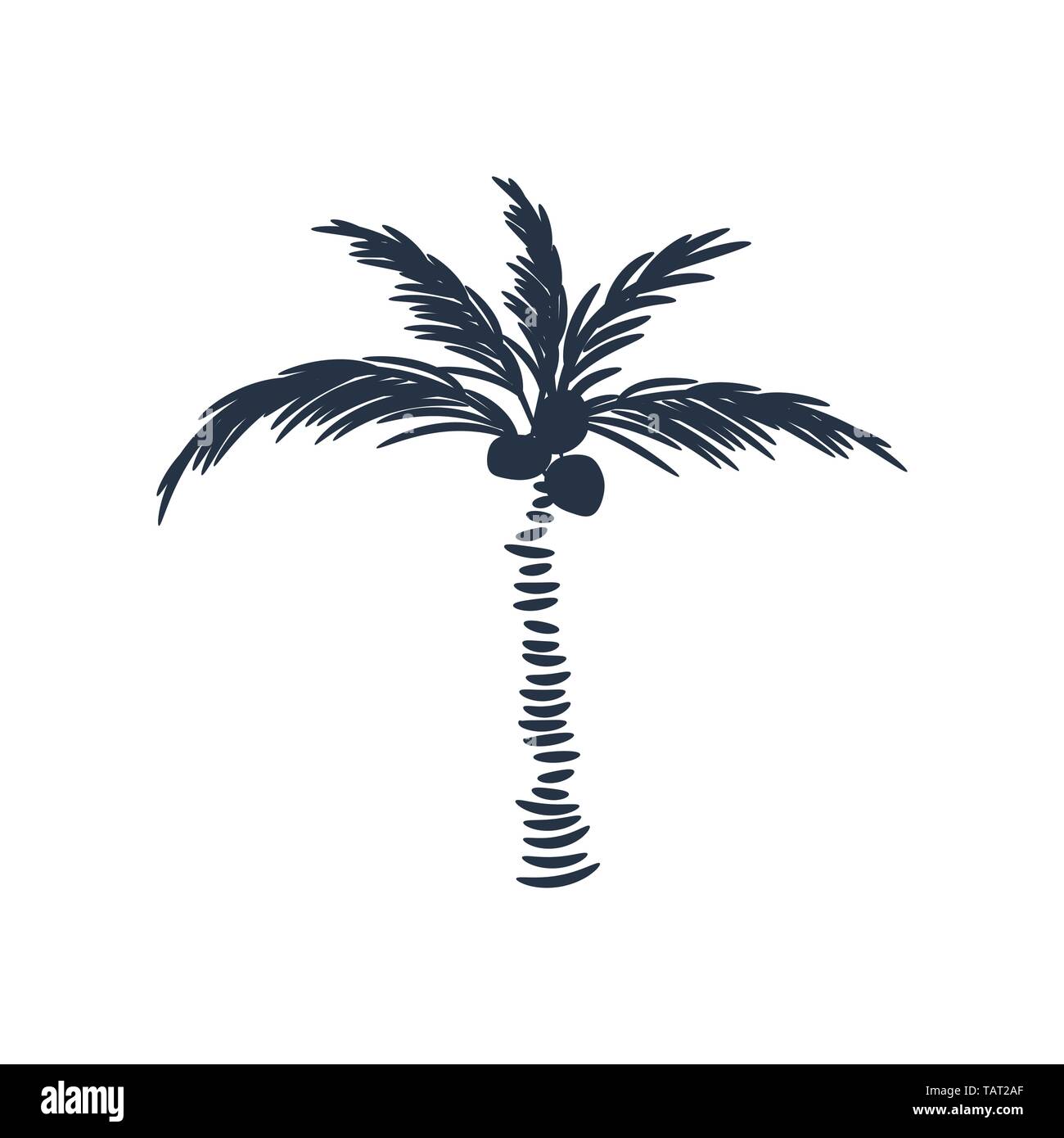 Tropical design white palm Stock Vector Images - Alamy