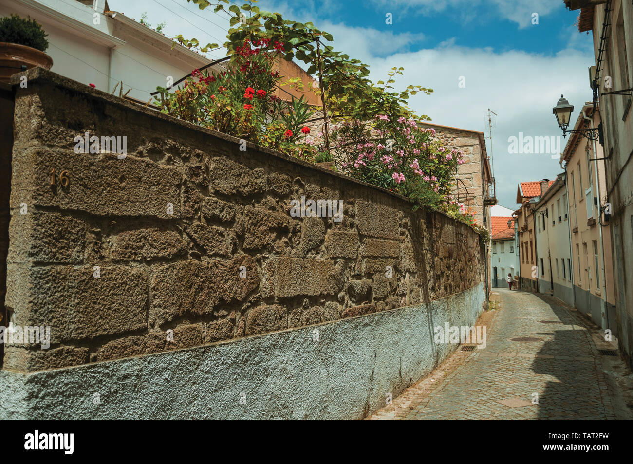 Seia cheese hi-res stock photography and images - Alamy