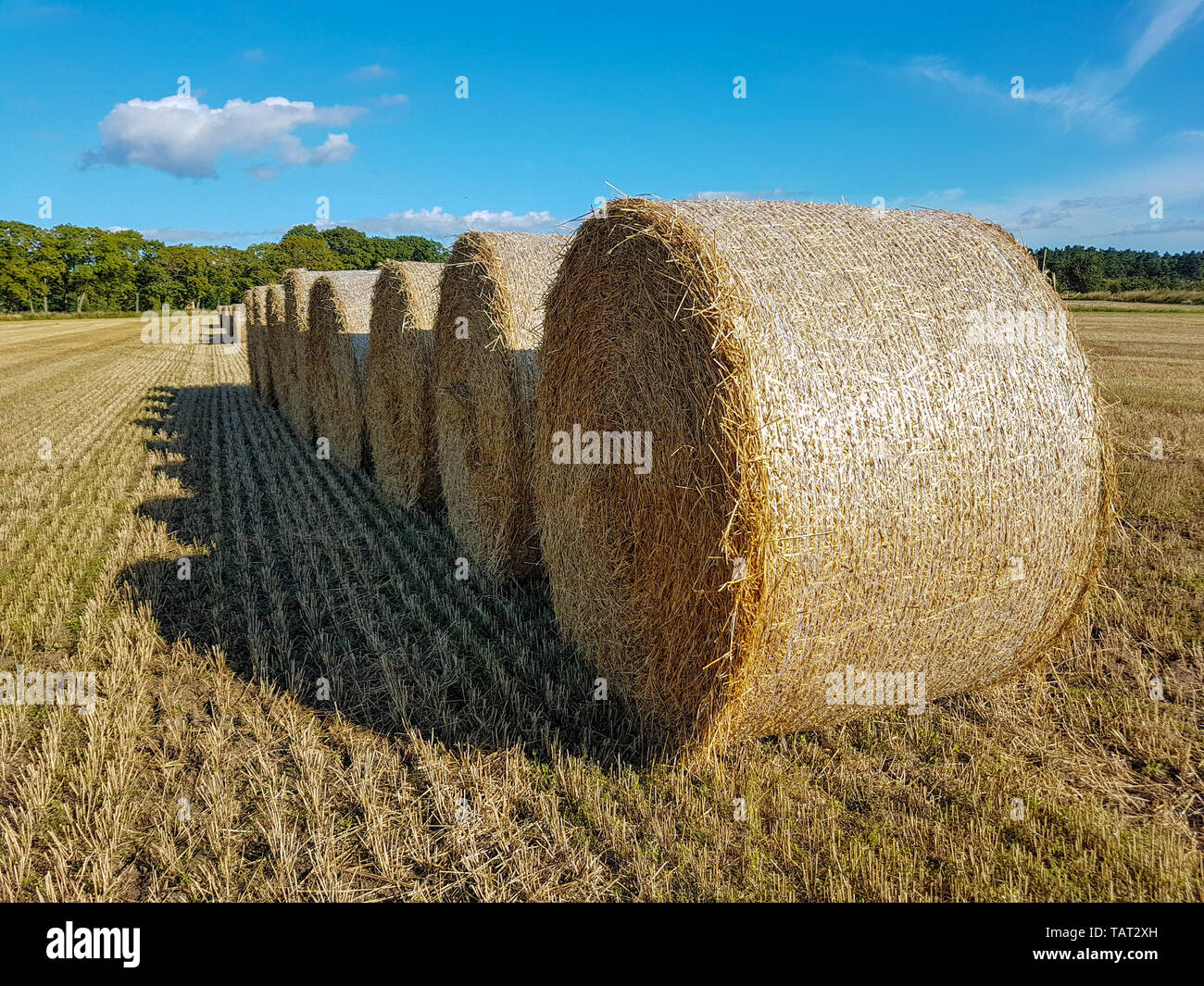 Packaged hay hi-res stock photography and images - Alamy
