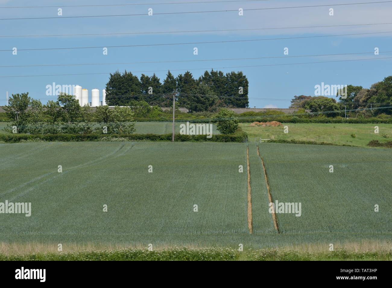 river medina Isle of Wight Stock Photo - Alamy