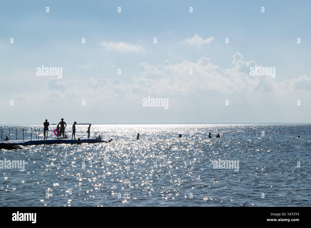 Island of oland swim hi-res stock photography and images - Alamy