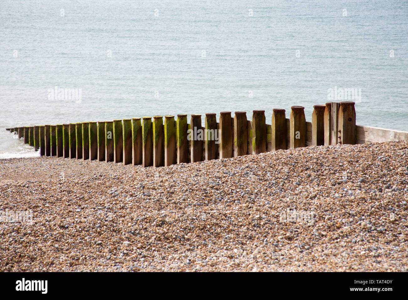 Wooden groin on pebble beach, Eastbourne Stock Photo - Alamy