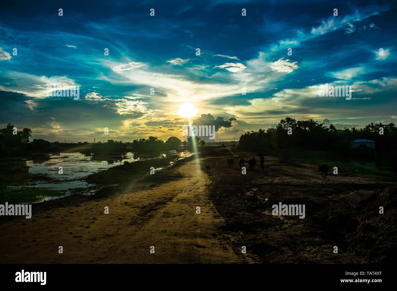 The landscape of Silchar Stock Photo - Alamy