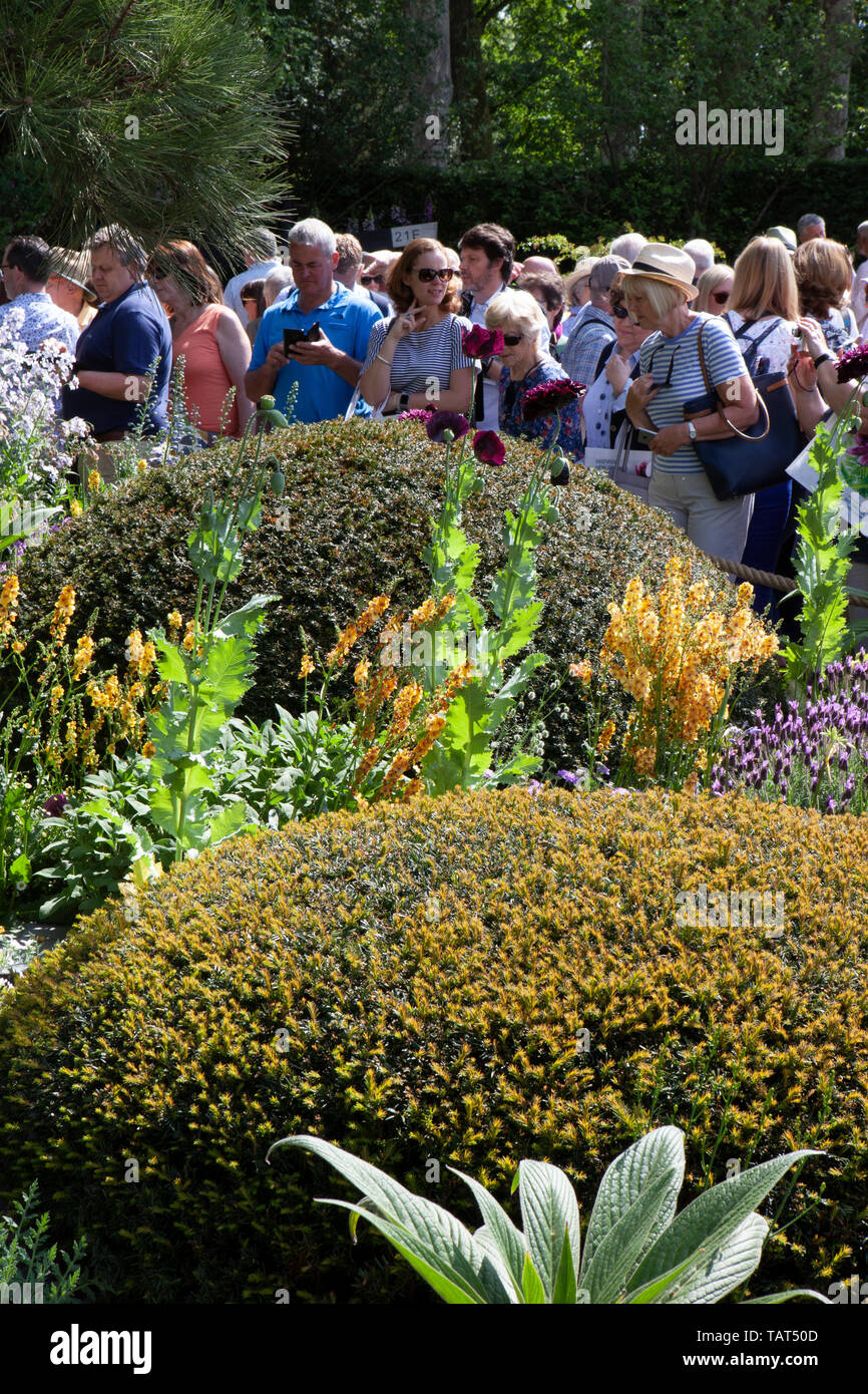RHS Chelsea Flower Show 2019: crowds of visitors admire and photograph ...