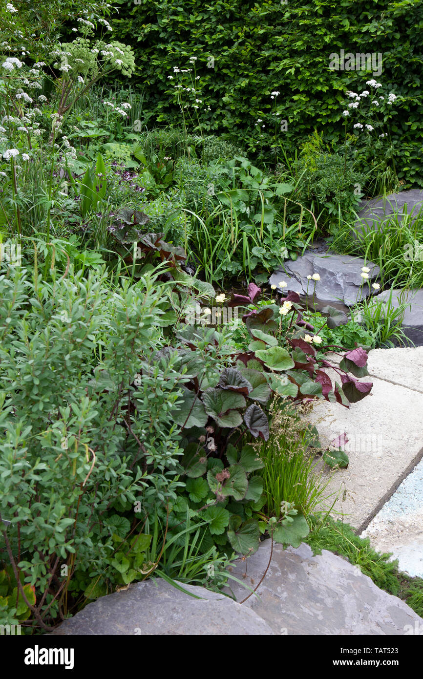 RHS Chelsea Flower Show 2019: the Viking Cruises: The Art of the Viking ...