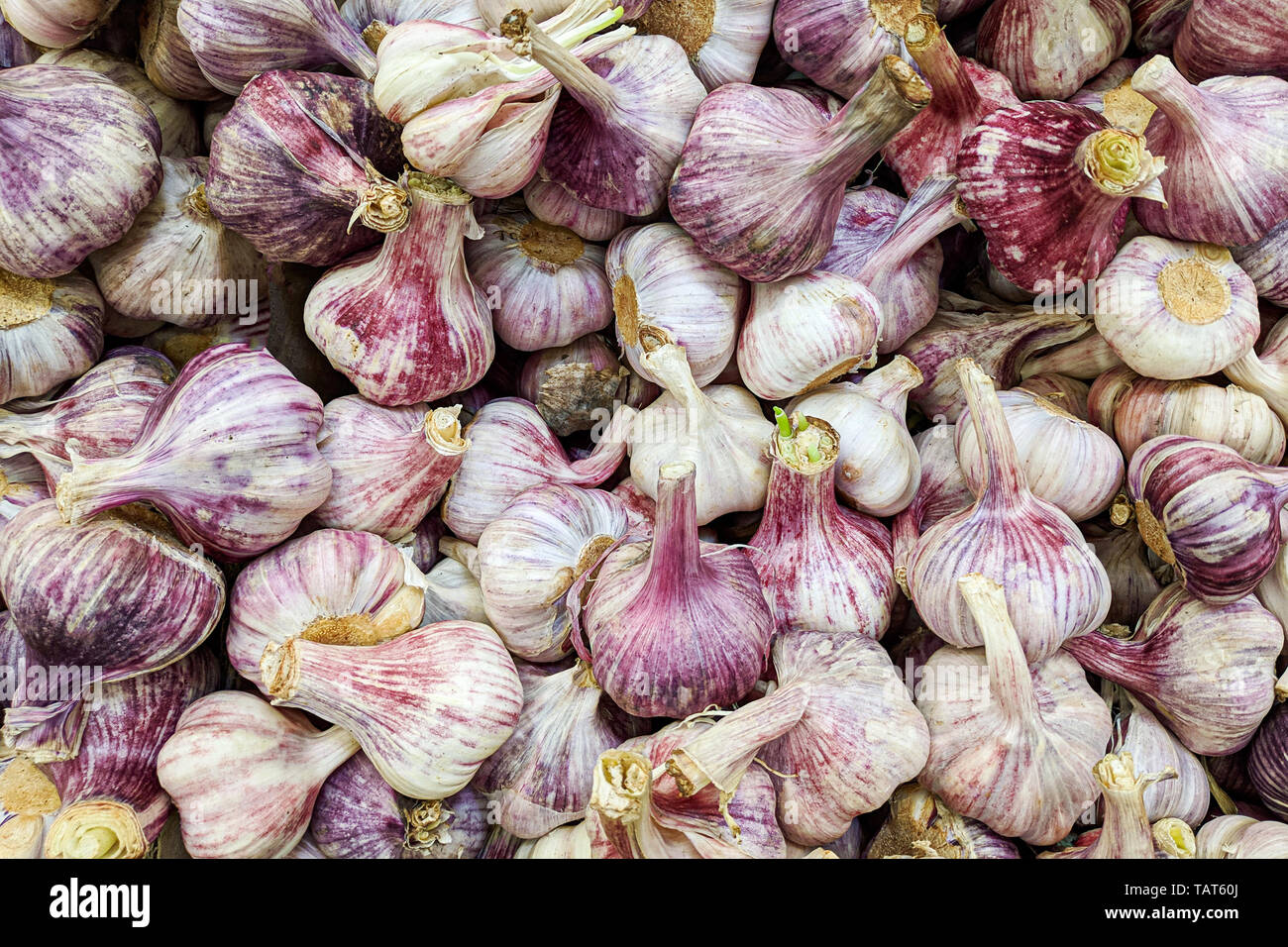 concept of natural products and healthy eating. Young garlic in box ...