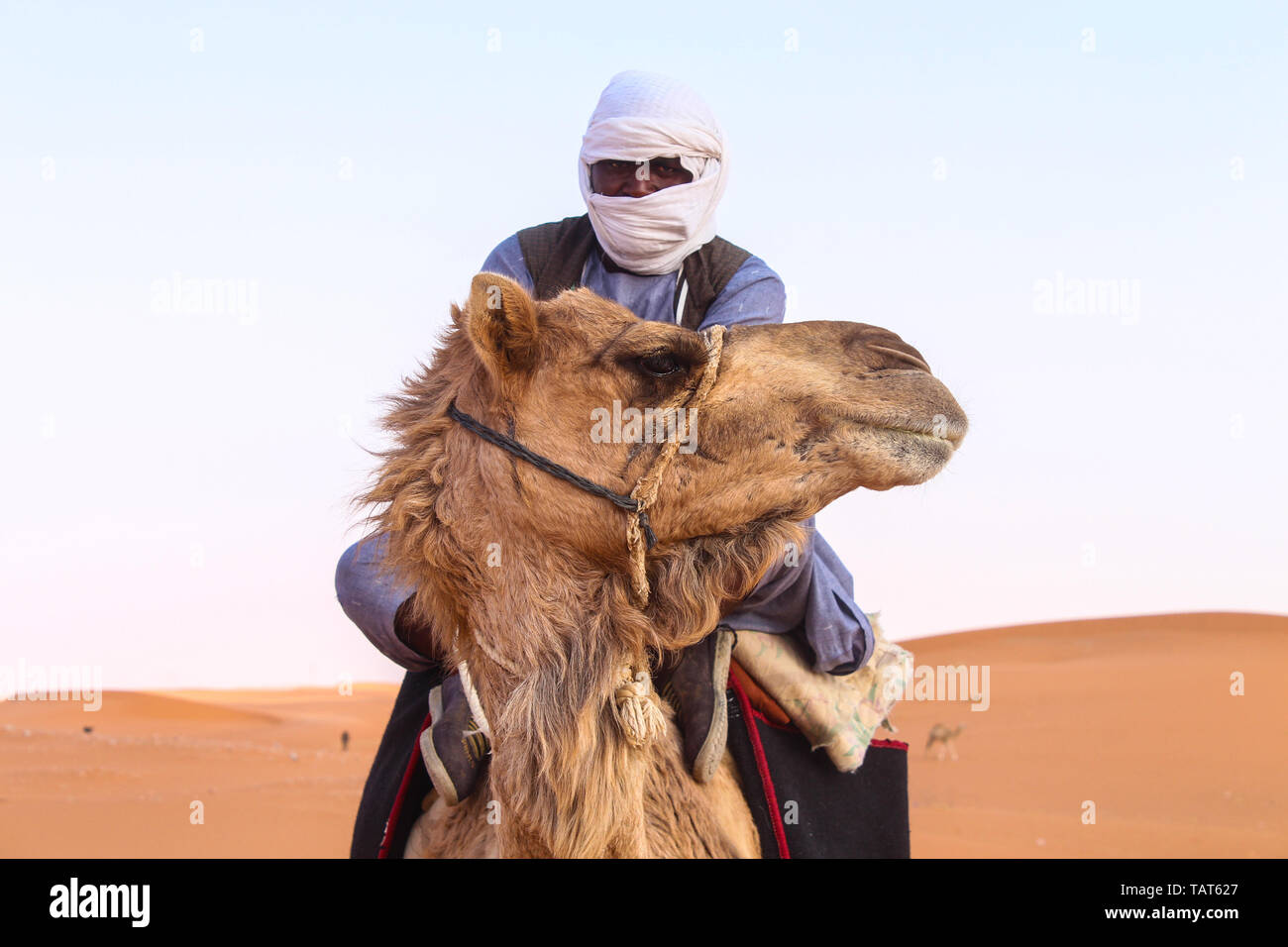 arabian shepherd riding a camel in the desert Stock Photo - Alamy