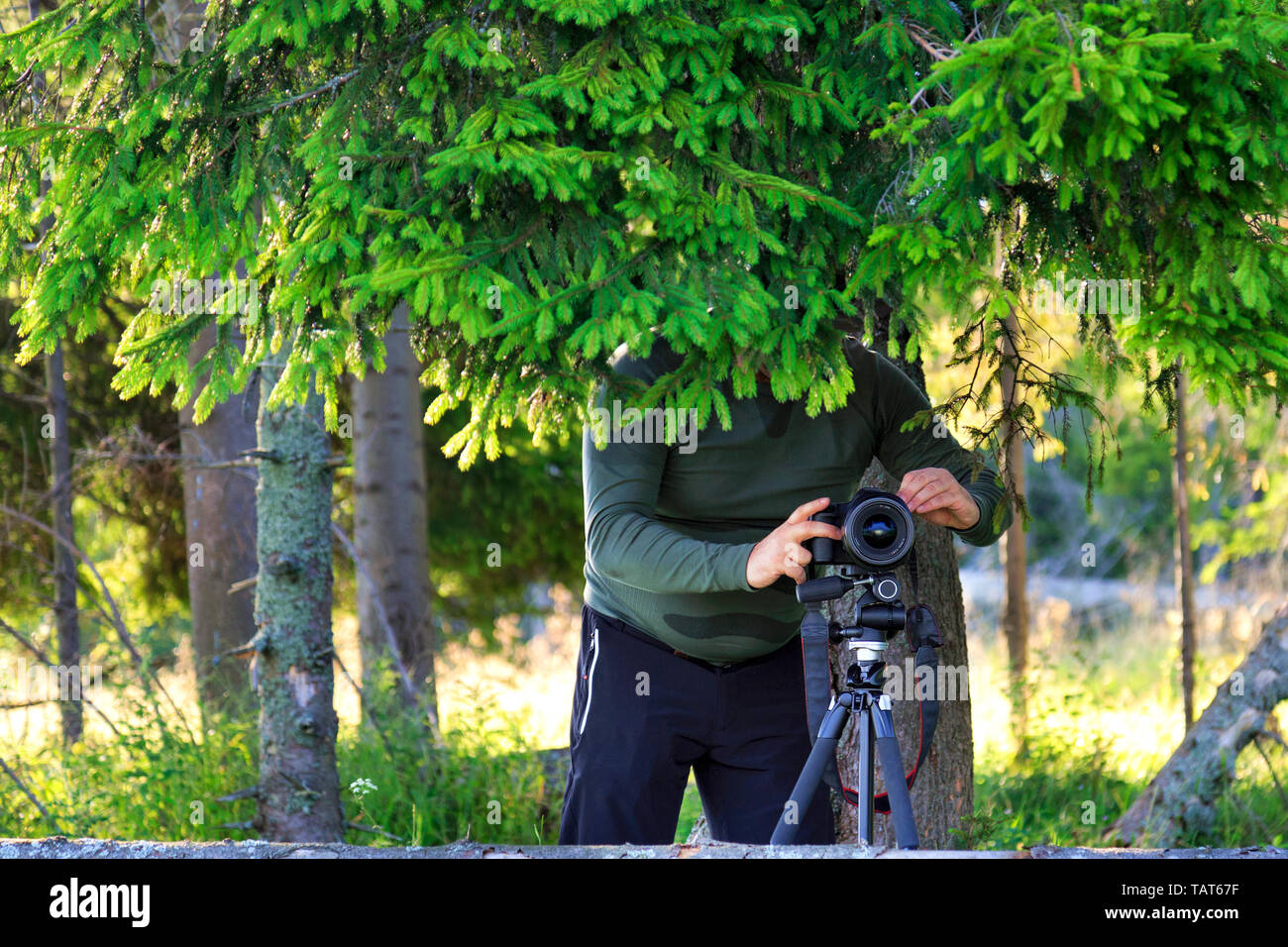 Tree making shade hi-res stock photography and images - Alamy