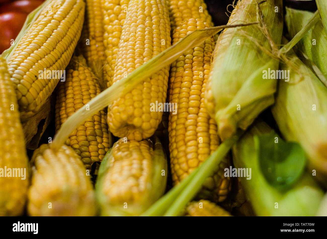 Fresh corn cobs on a market stall Stock Photo - Alamy