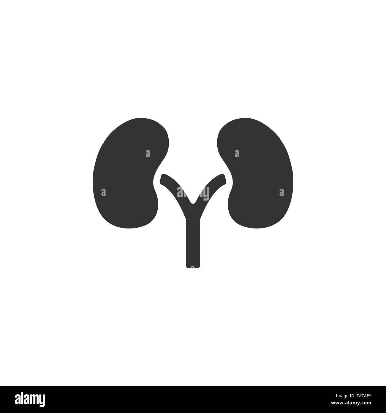 Kidneys icon on a white background. Isolated vector illustration Stock ...
