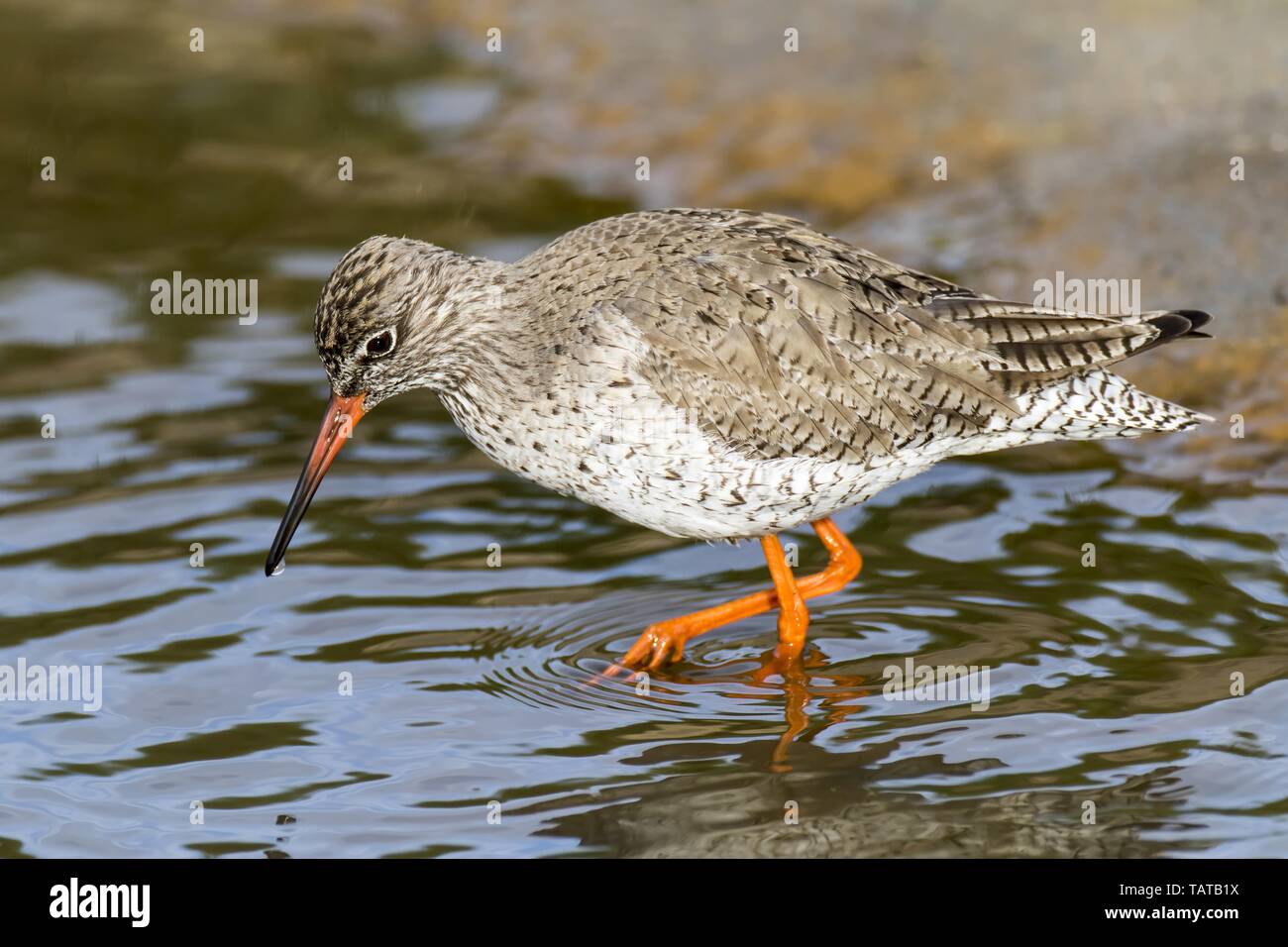 Motion Profile High Resolution Stock Photography and Images - Alamy