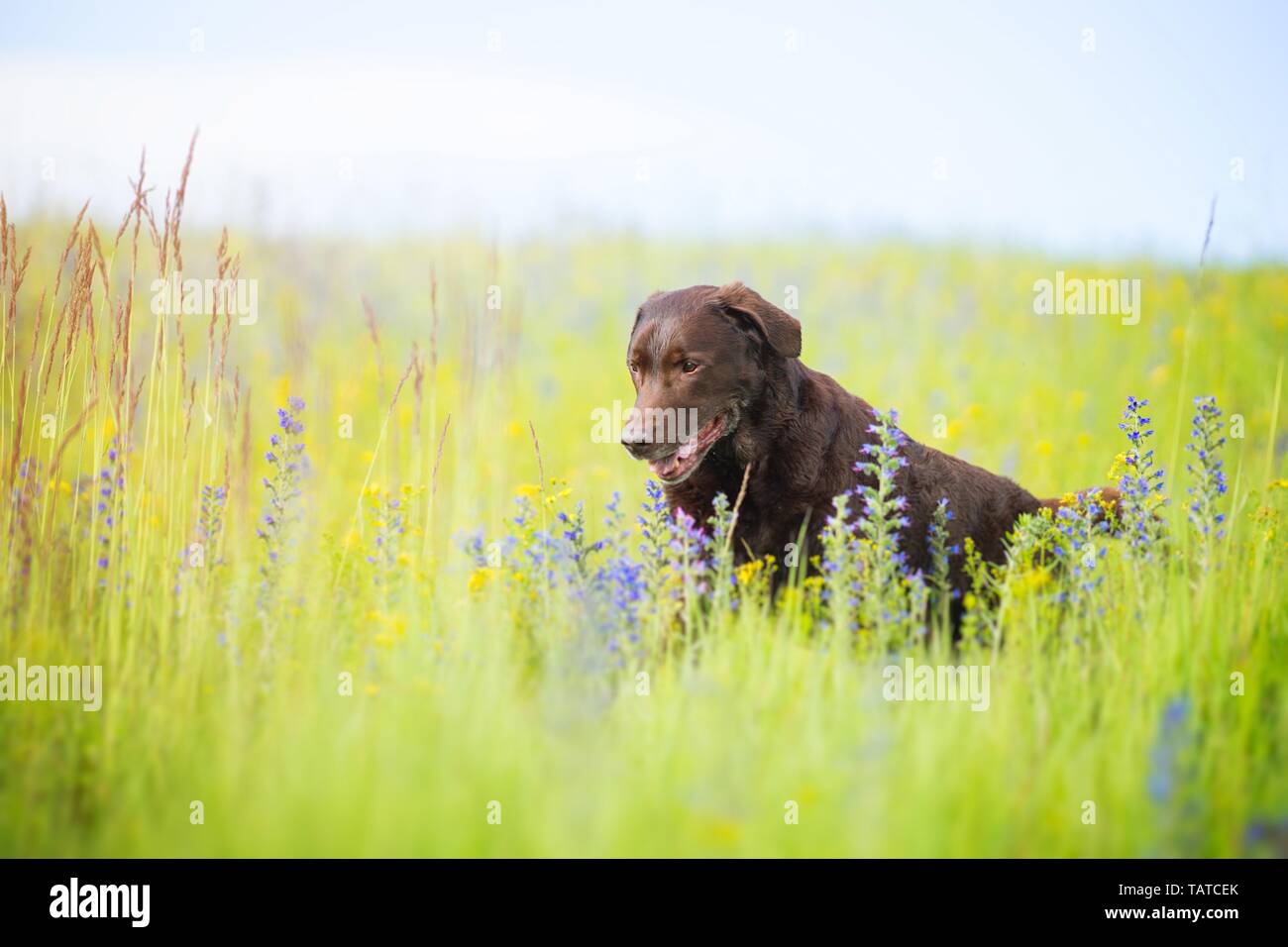 Old Format High Resolution Stock Photography and Images - Alamy