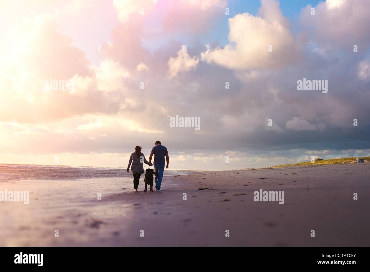 Elderly male walking labrador dog High Resolution Stock Photography and ...