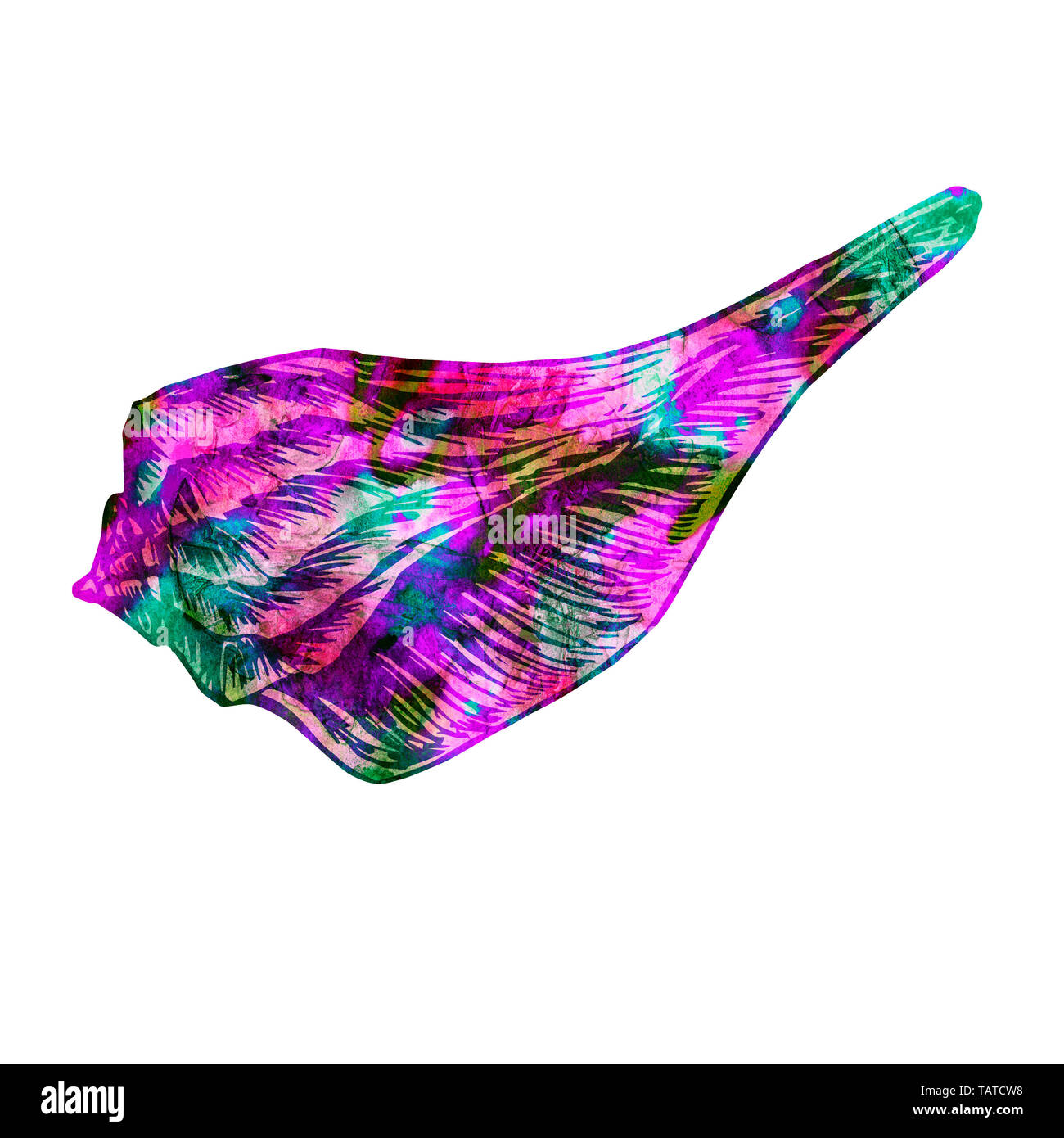 Seashell isolated illustration, hand painted colorful abstract ...