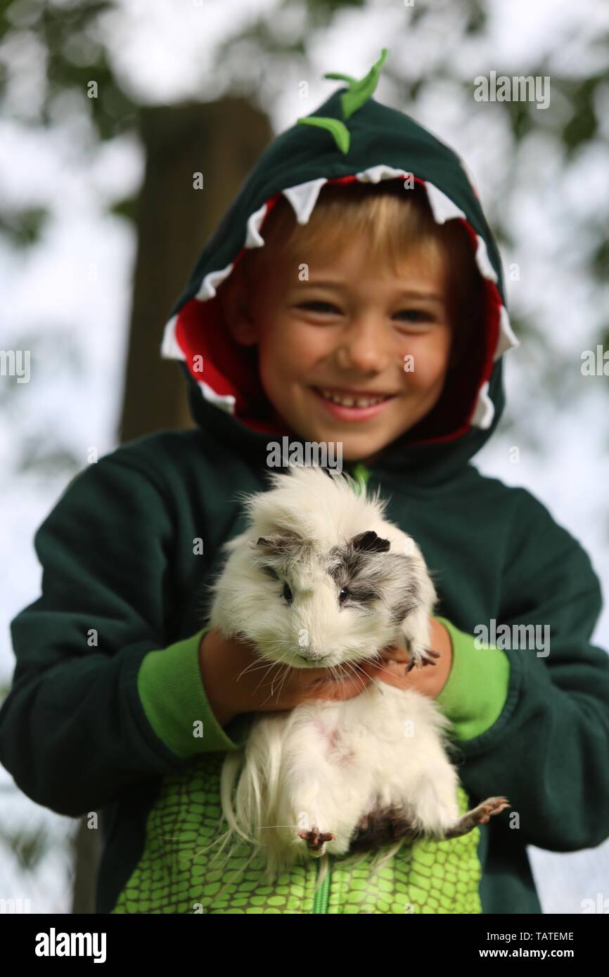 Raising Domestic Pigs High Resolution Stock Photography and Images - Alamy