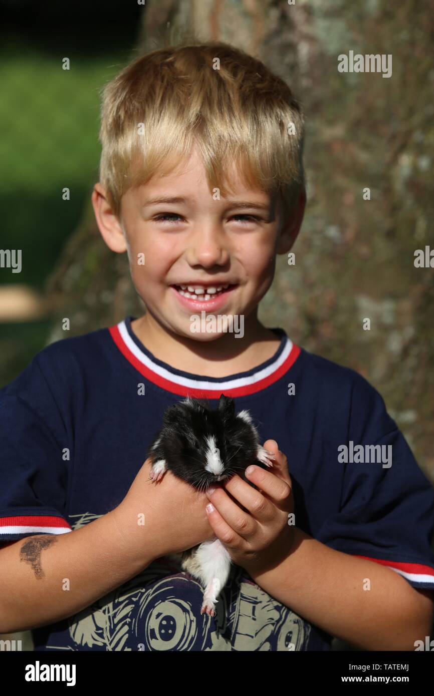 Raising Domestic Pigs High Resolution Stock Photography and Images - Alamy