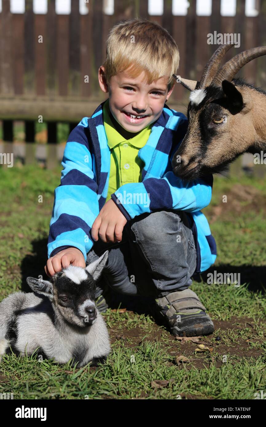 boy and goats Stock Photo - Alamy