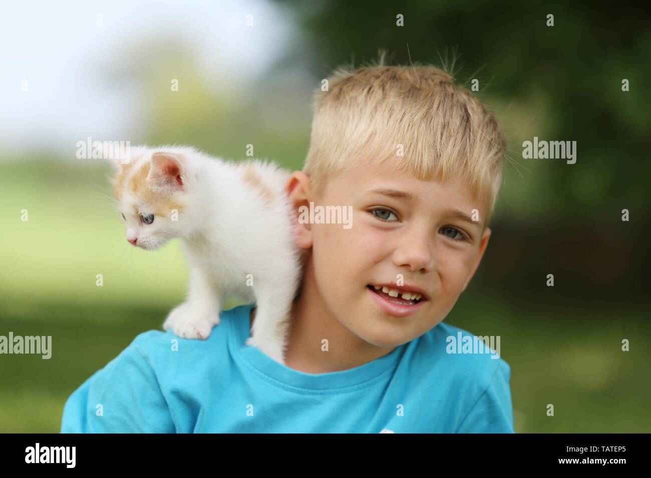 boy and kitten Stock Photo - Alamy