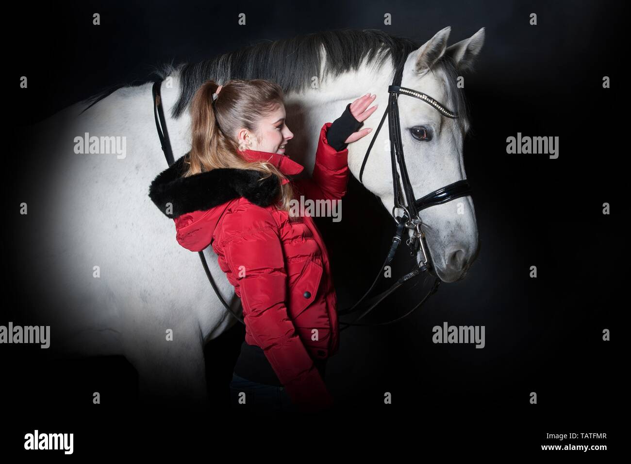 Purebred holsteins hi-res stock photography and images - Alamy