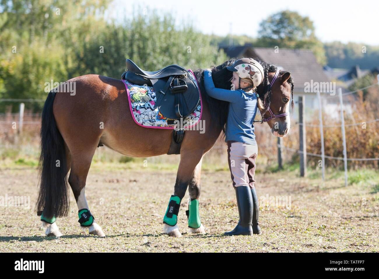 girl and Welsh A Stock Photo - Alamy
