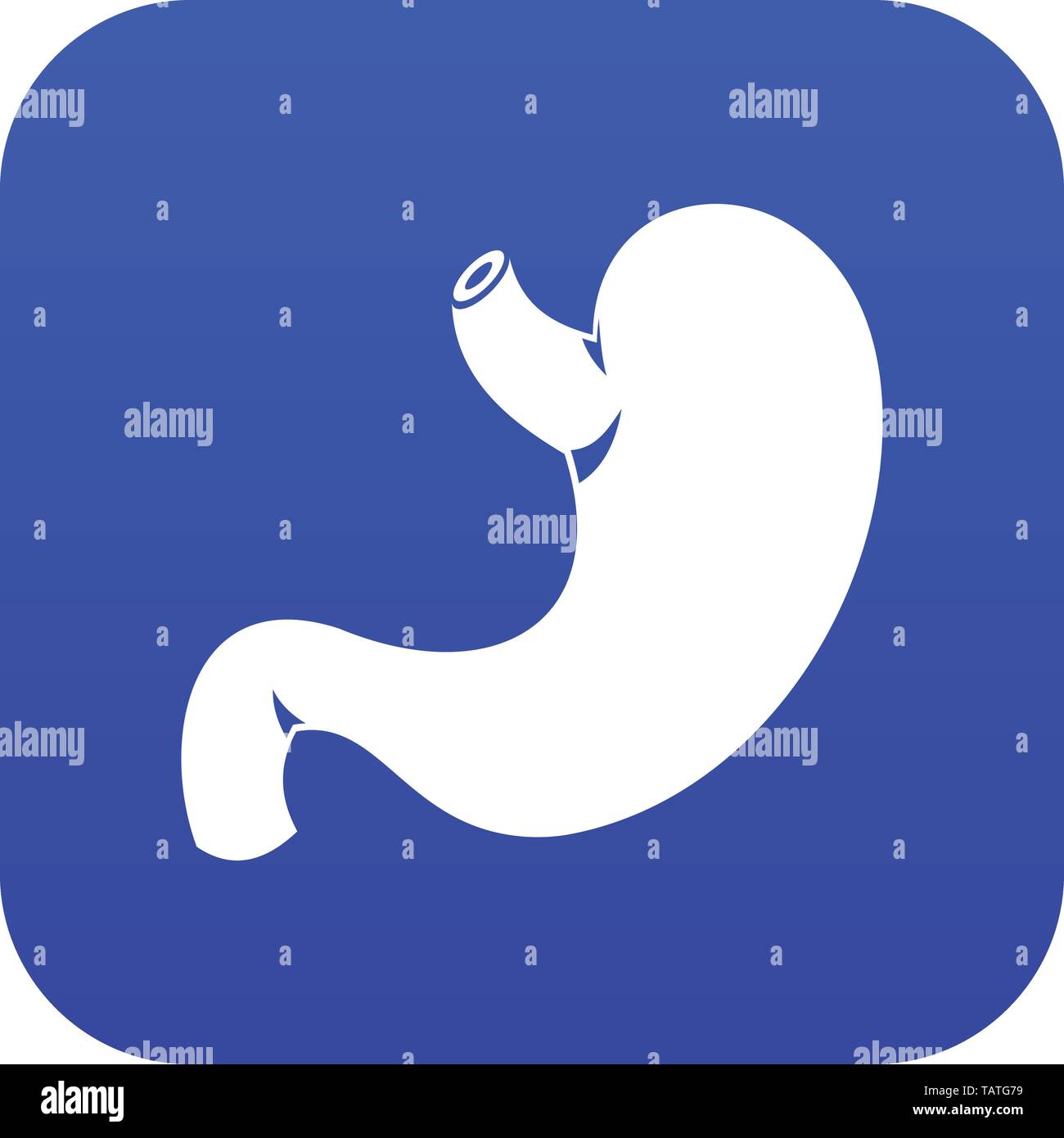 Stomach icon digital blue Stock Vector Image & Art - Alamy