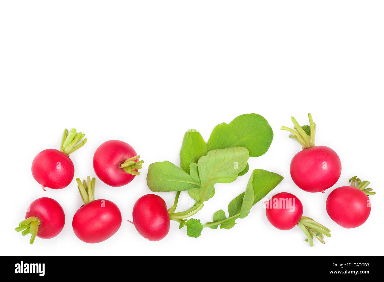 fresh whole radish isolated on white background with copy space for ...