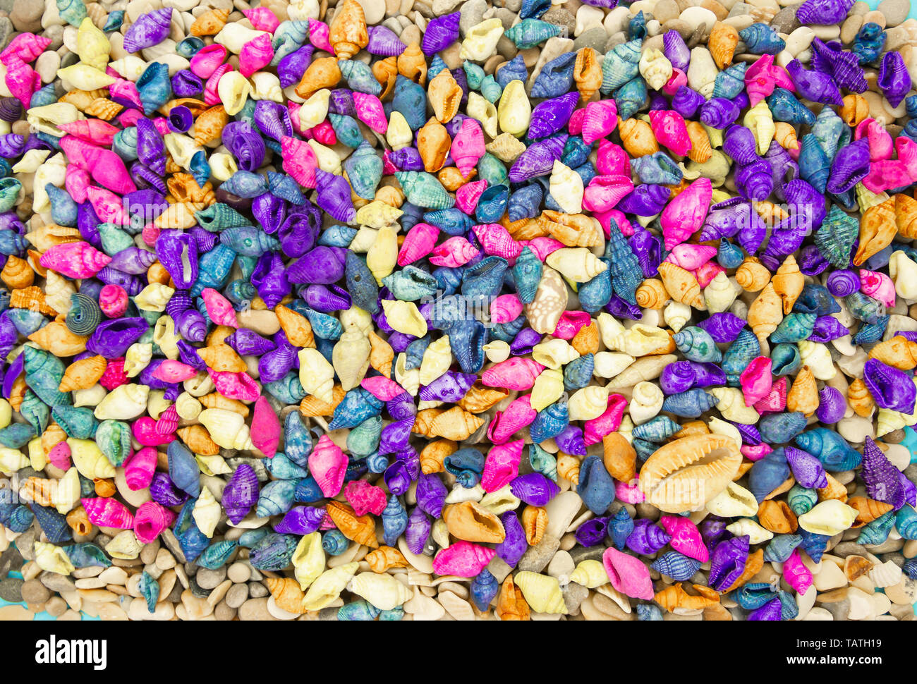 colorful seashells. Summer beach background Stock Photo - Alamy