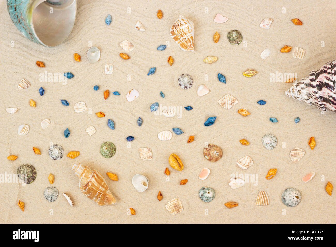 sea shells with sand as background. Summer wallpapers Stock Photo - Alamy