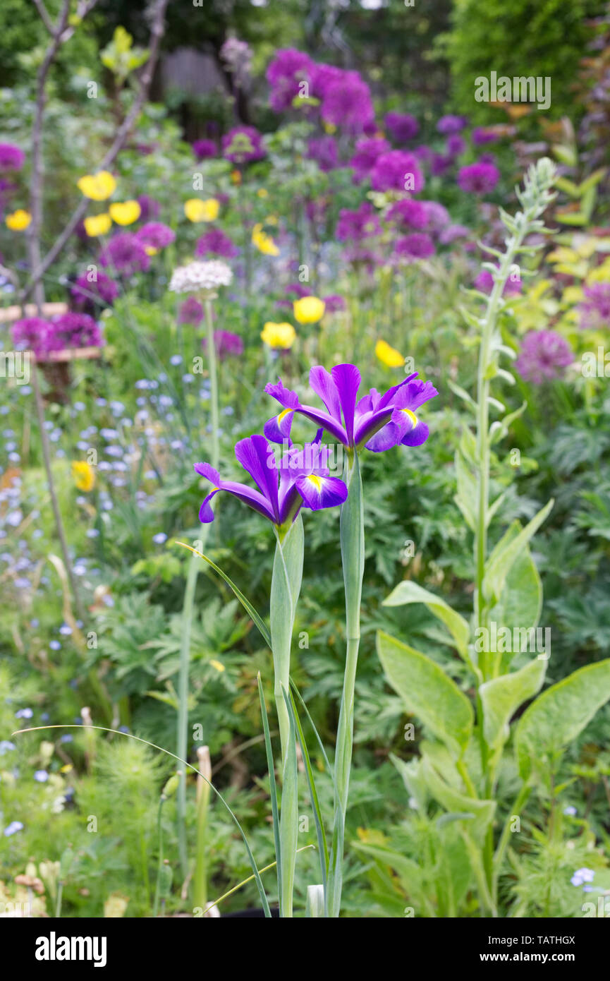 Spring garden cottage uk hi-res stock photography and images - Alamy