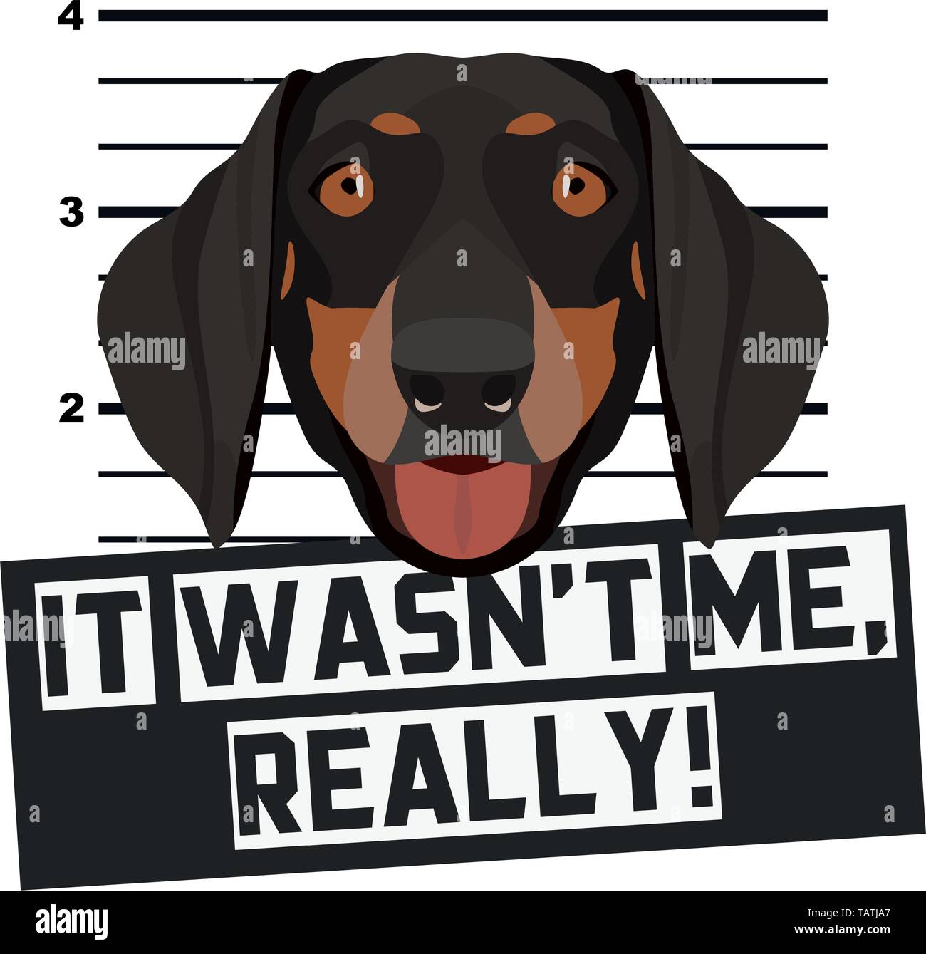 Illustration Mugshot dachshund - The guilty dog gets a police photo ...