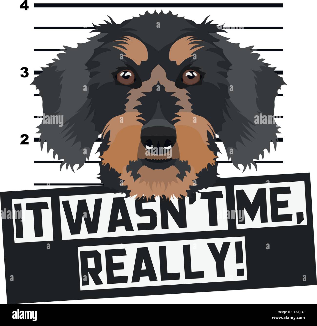 Illustration Mugshot Rauhaardackel - The guilty dog gets a police photo ...