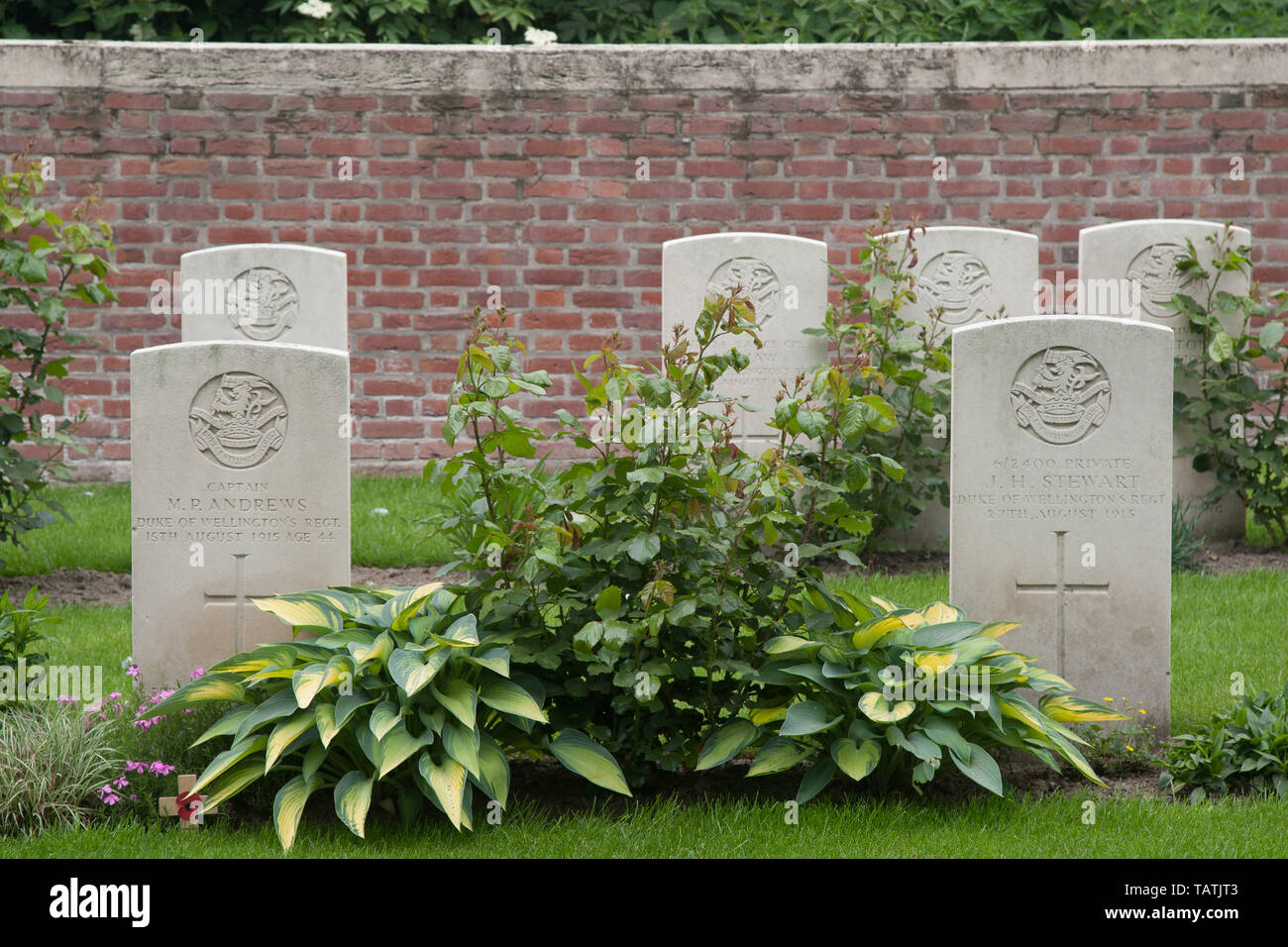 cemetery graveyard Ypres Ieper Belgium Stock Photo - Alamy
