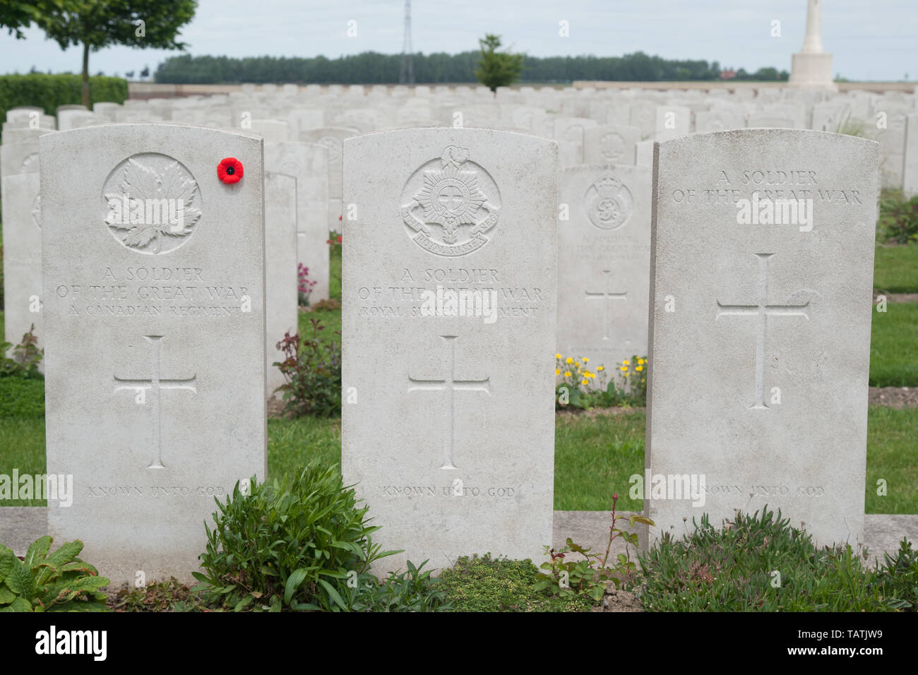 cemetery graveyard Ypres Ieper Belgium Stock Photo - Alamy